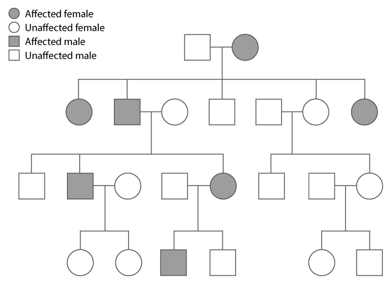 Pedigree Chart Autosomal Dominant Pedigree Chart Autosomal Dominant