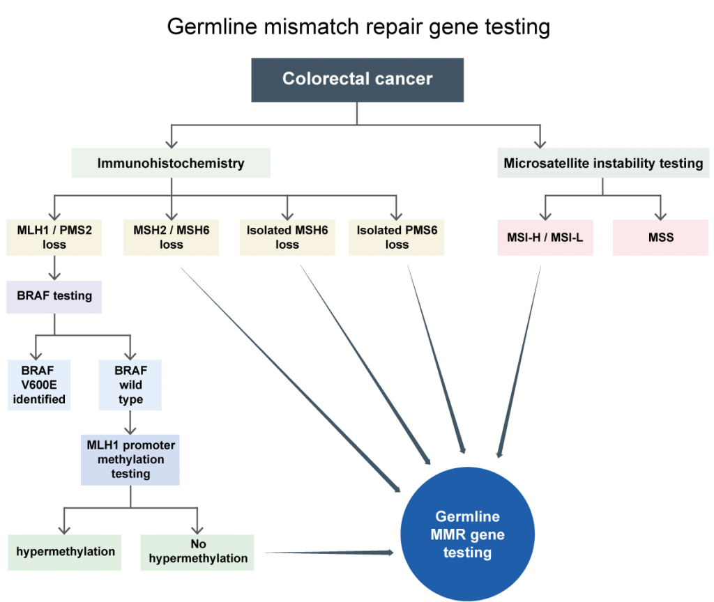 Mismatch repair deficiency and microsatellite instability — Knowledge Hub