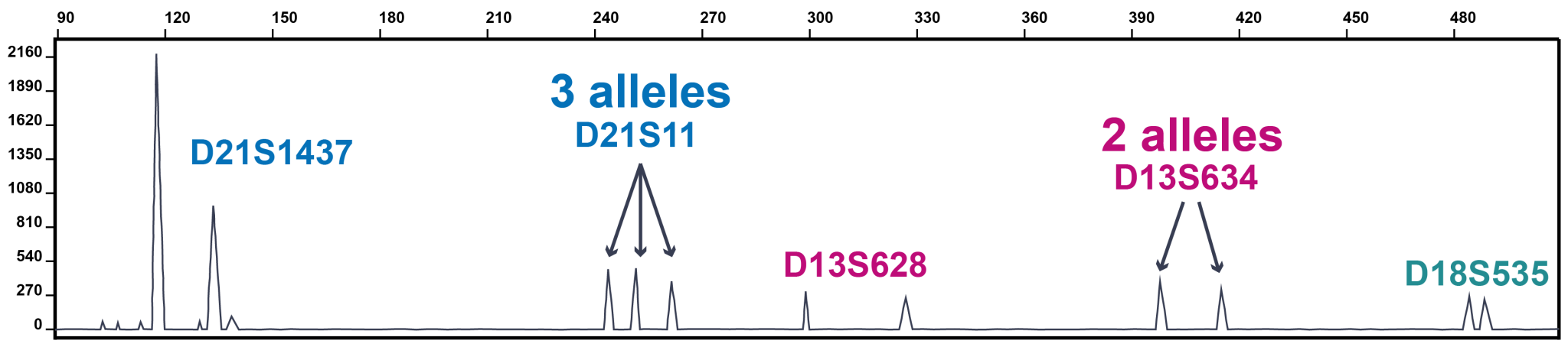 Common aneuploidy testing (QF-PCR) — Knowledge Hub