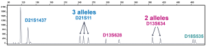 Common aneuploidy testing (QF-PCR) — Knowledge Hub