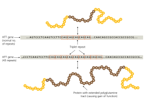 Repeat expansion disorders — Knowledge Hub