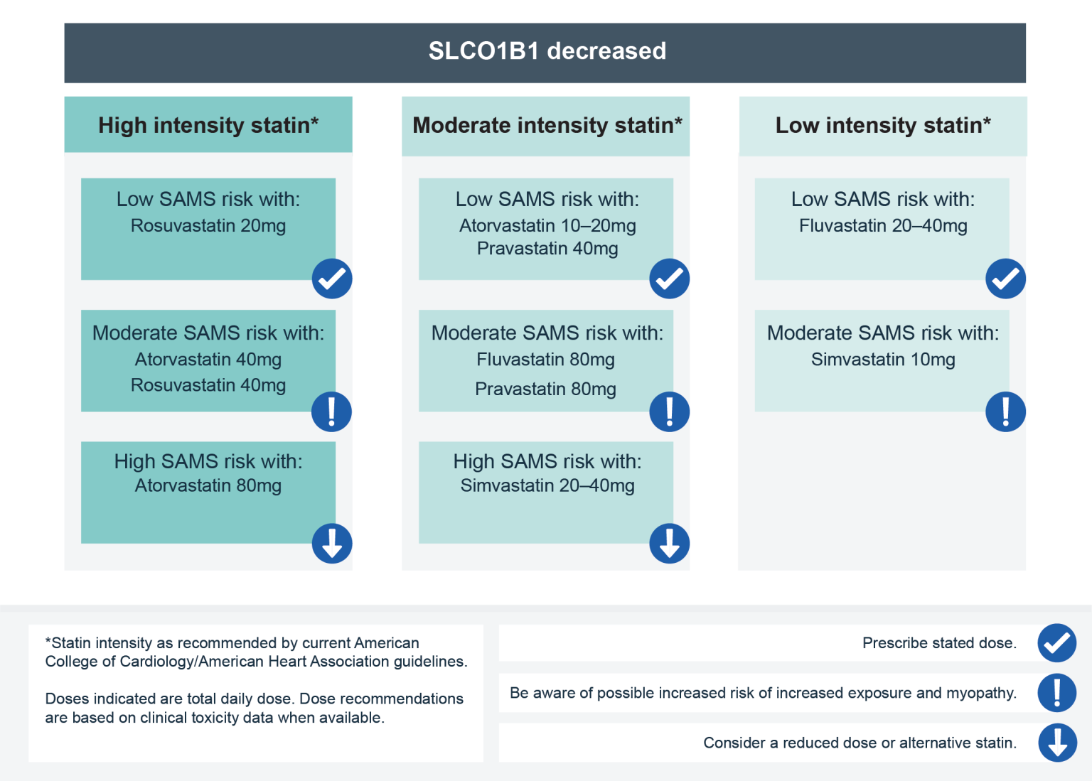 Statins — Knowledge Hub