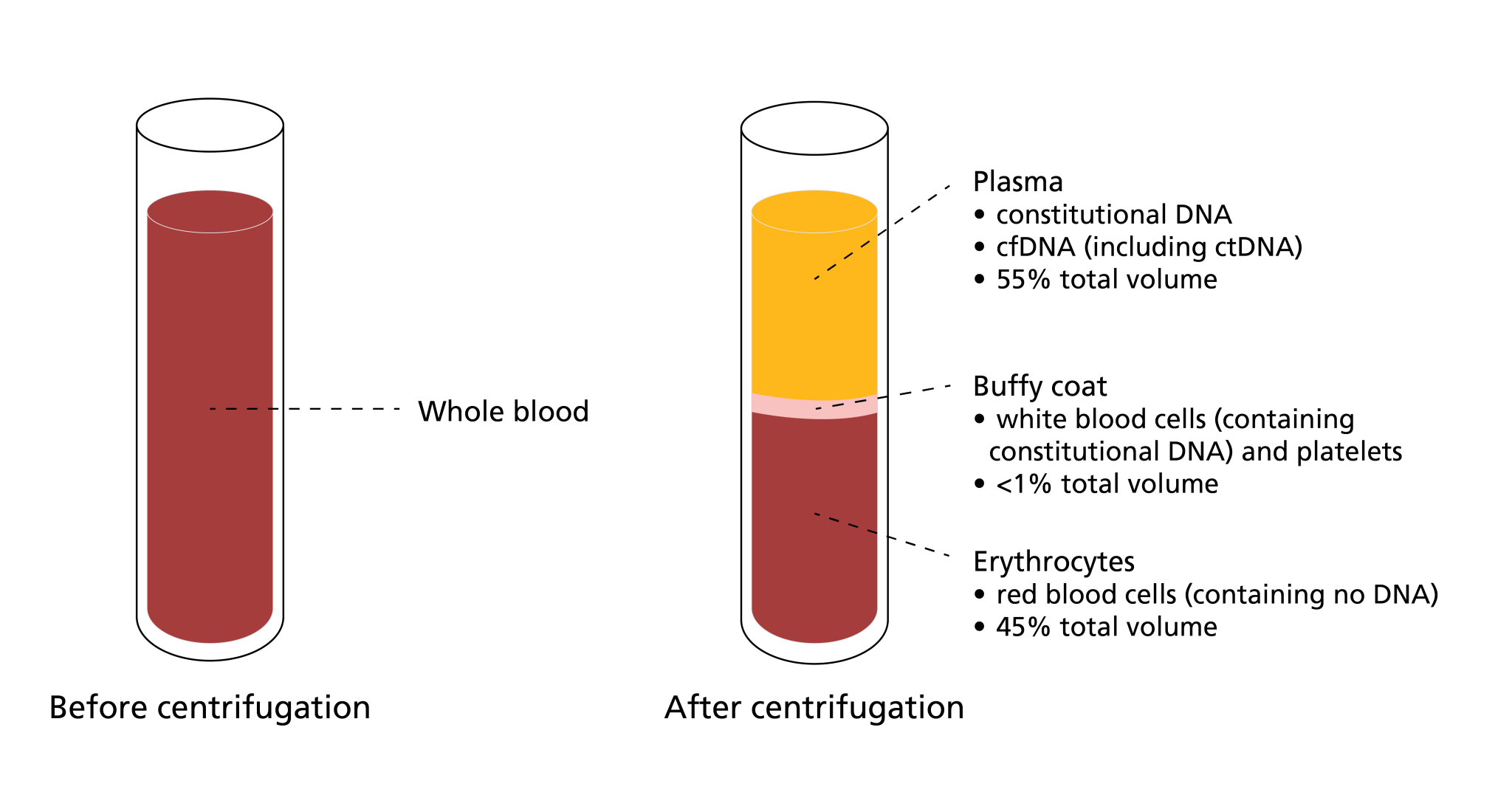 Circulating tumour DNA for cancer patients — Knowledge Hub