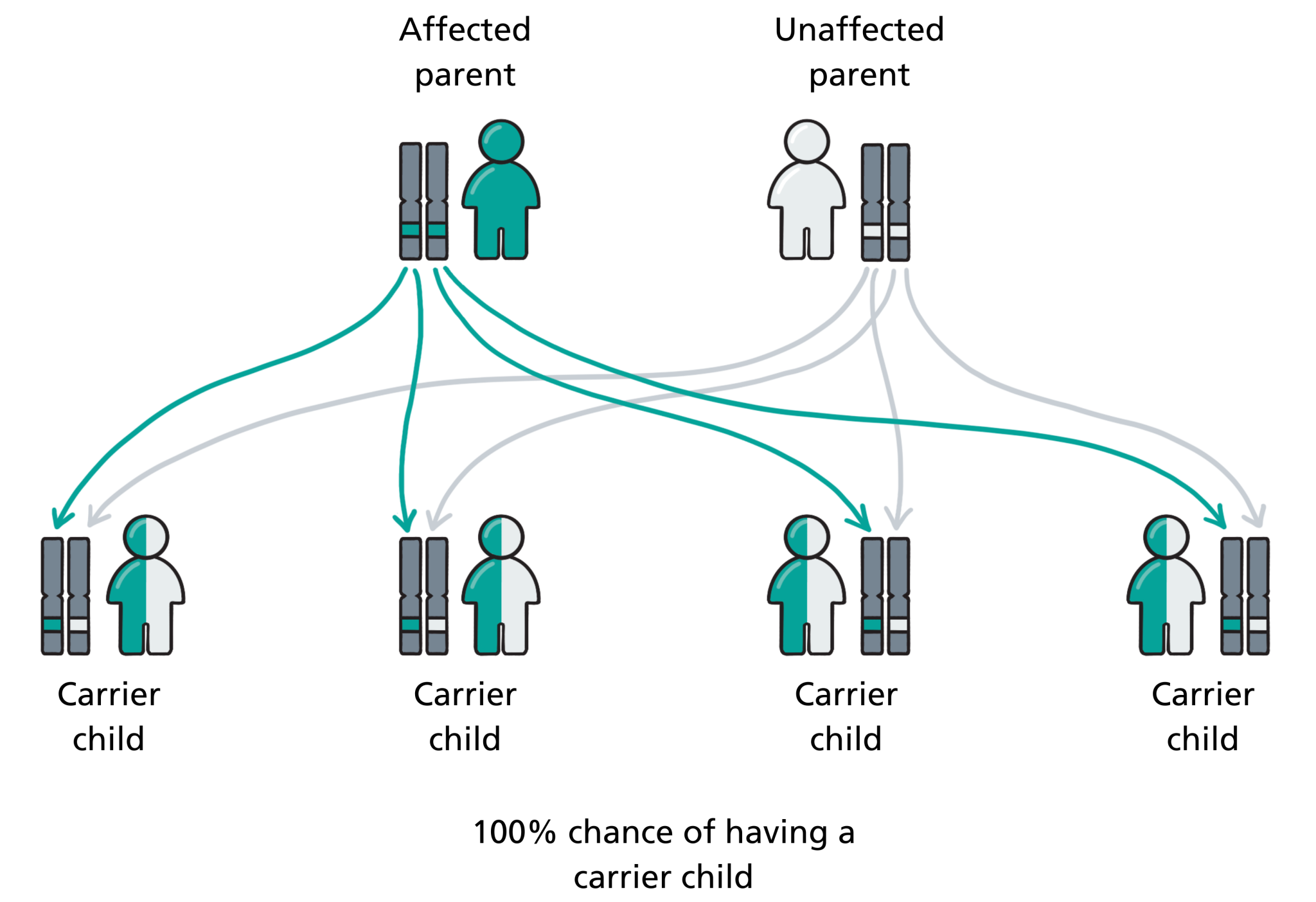 Visual communication aid: Autosomal recessive inheritance — Knowledge Hub