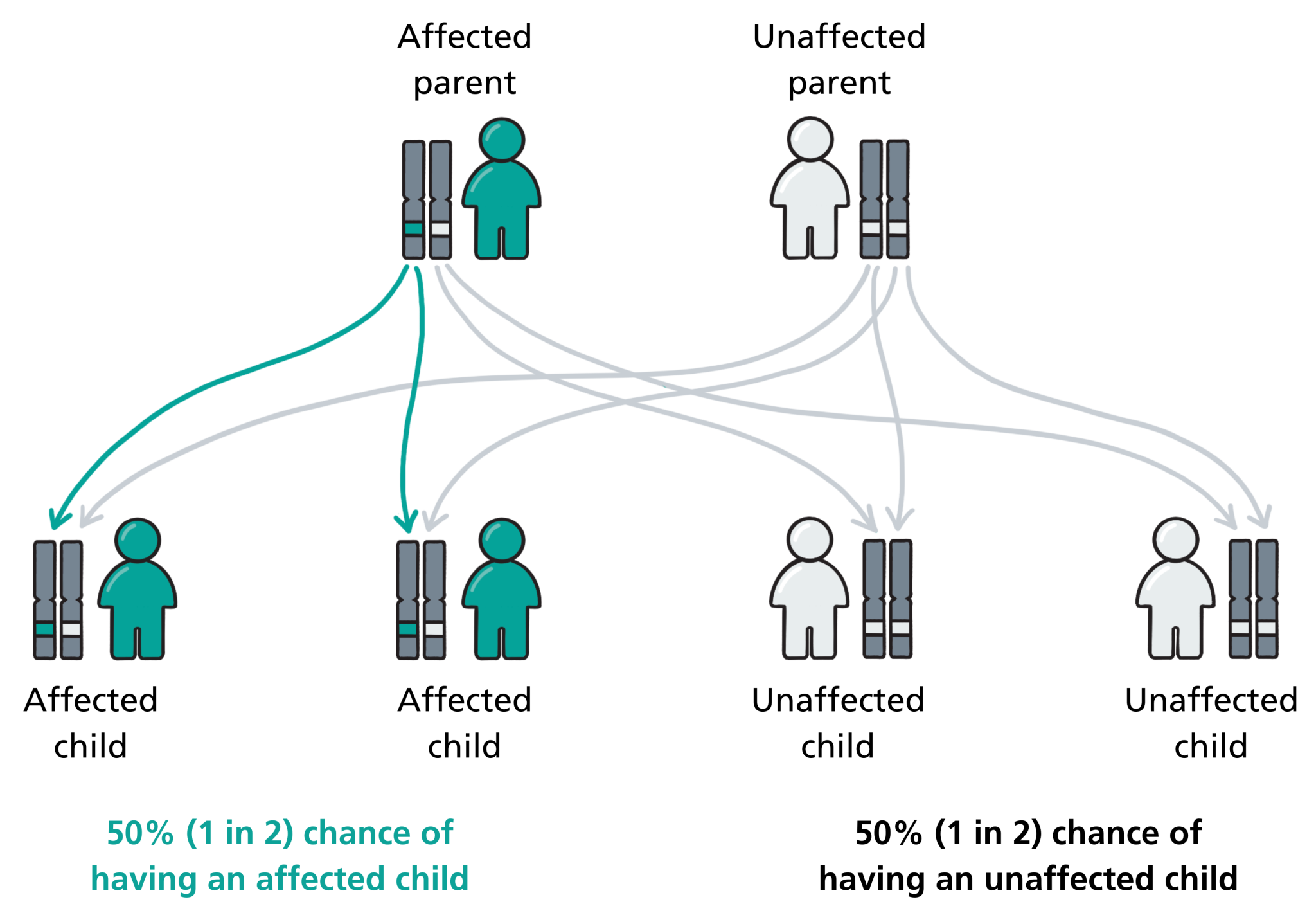 Visual communication aid: Autosomal dominant inheritance — Knowledge Hub