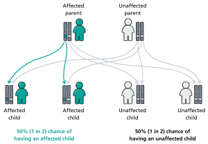 Visual communication aid: Autosomal dominant inheritance — Knowledge Hub
