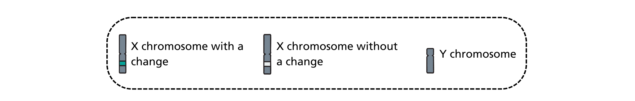 Visual communication aid: X-linked recessive inheritance — Knowledge Hub