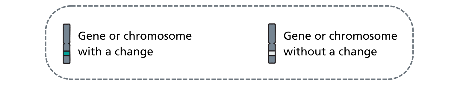 Visual communication aid: Autosomal dominant inheritance — Knowledge Hub