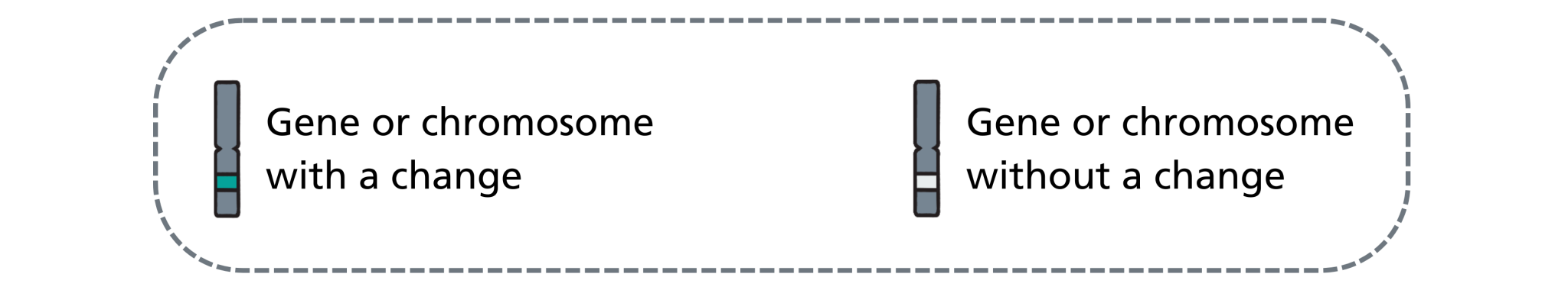 Visual Communication Aid Autosomal Dominant Inheritance — Knowledge Hub