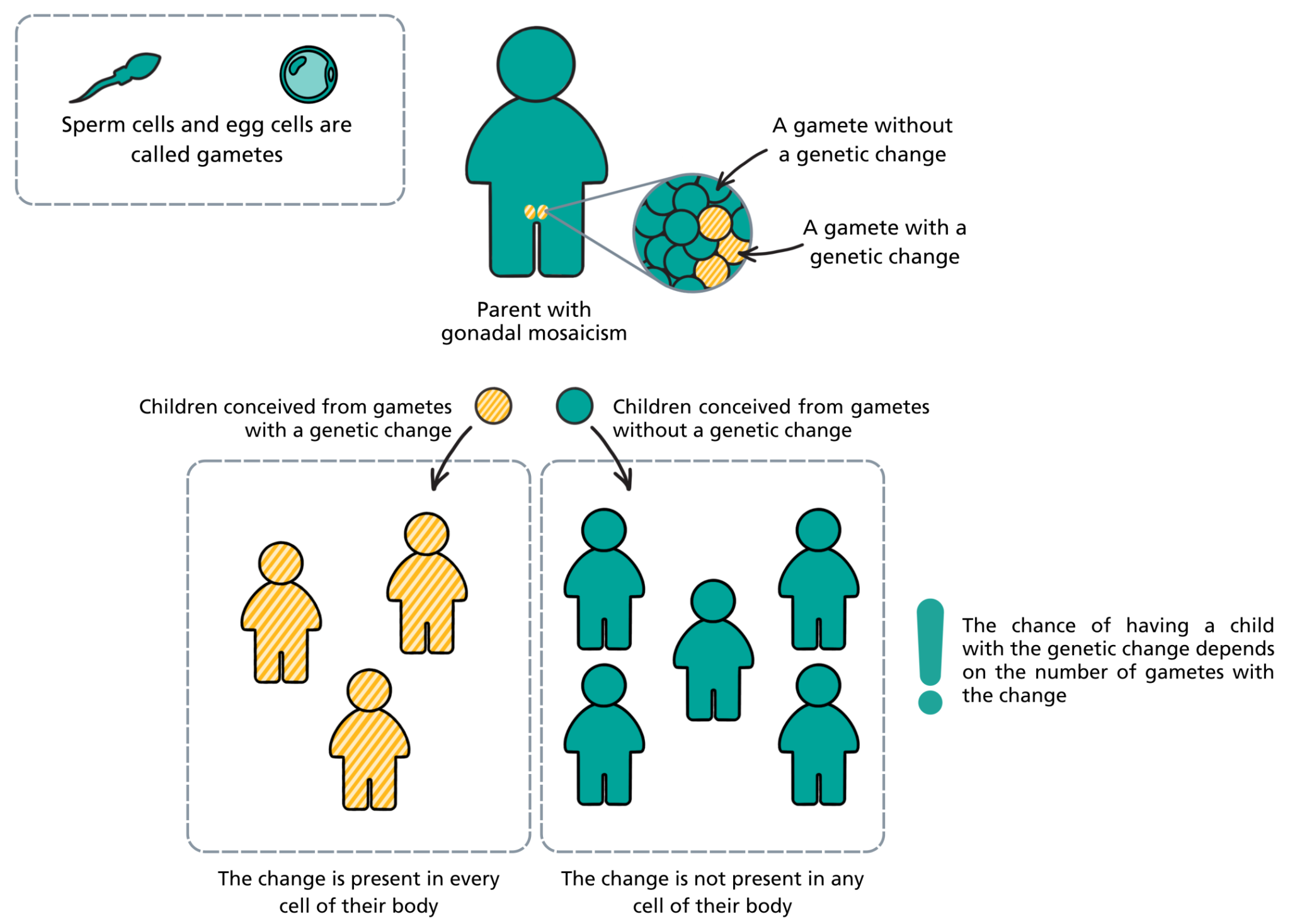 Visual communication aid: Mosaicism — Knowledge Hub