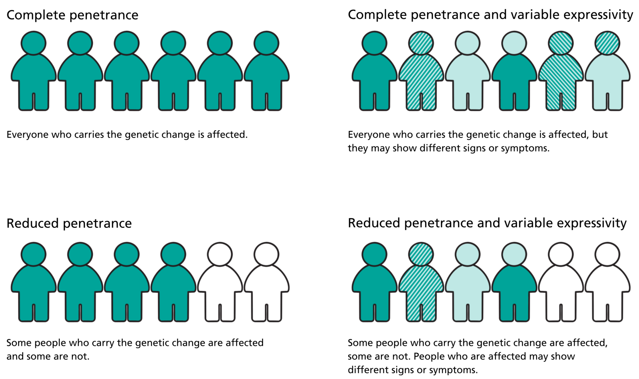 Visual communication aid: Penetrance and expressivity — Knowledge Hub